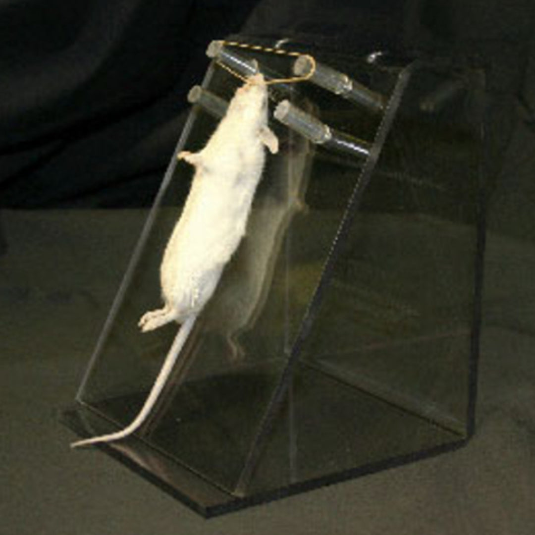 Rodent Intubation Stand For Mice(RIS) – Protech International, Inc.